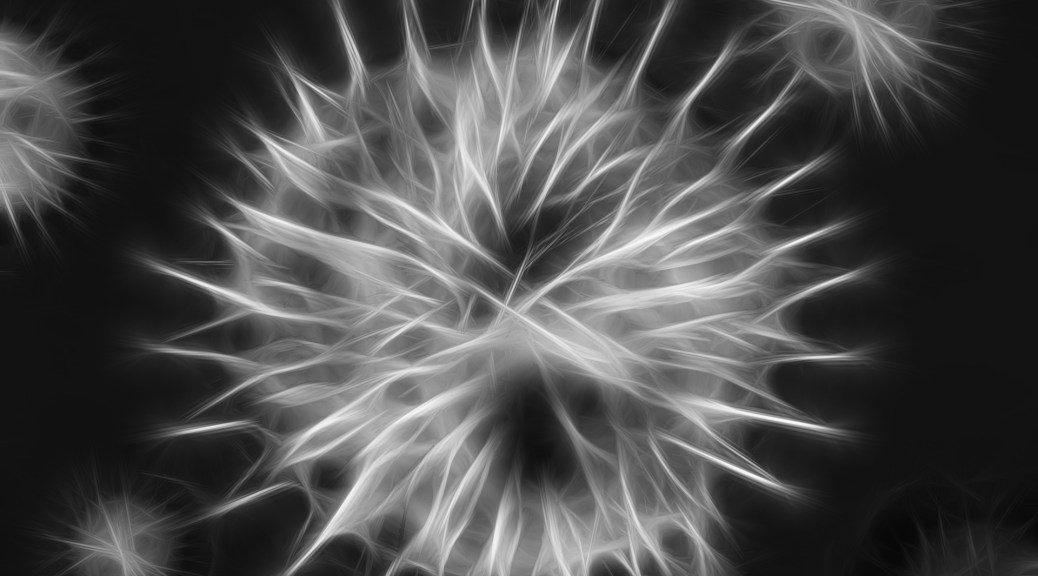spiritual infection | Wayfarer
